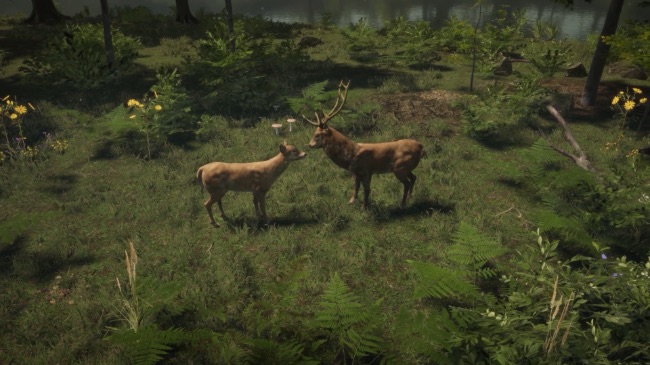 Natural Instincts – Beta Sign Up | Alpha Beta Gamer