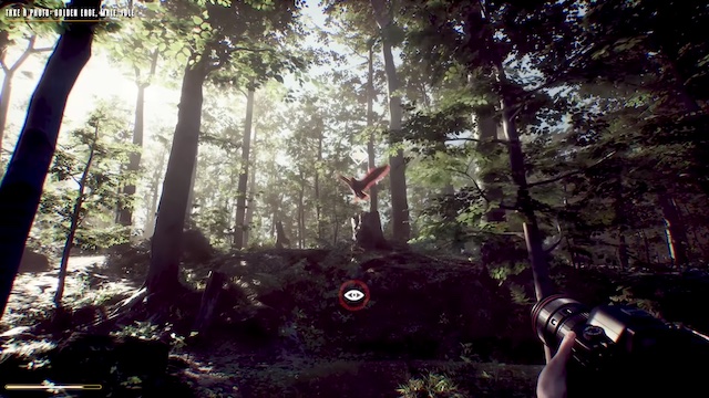 Photography Simulator – Beta Sign Up | Alpha Beta Gamer